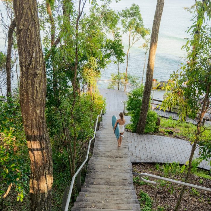 Everything You Need to Know About Noosa National Park